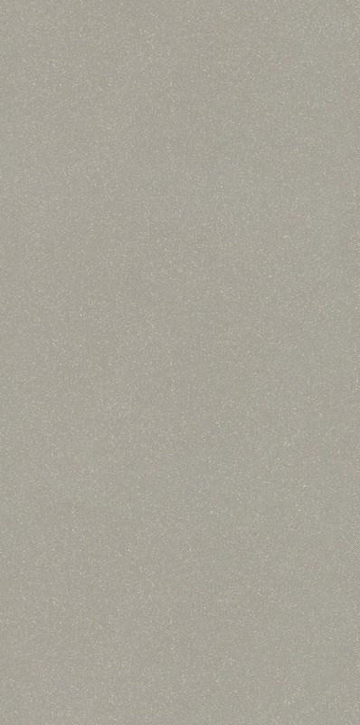 Dlažba Moondust Light Grey Polished 59,4x29,55 | GRES