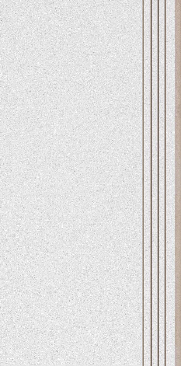 Dlažba Cambia White Rek. Mat Sch.29,7x59,7 | GRES