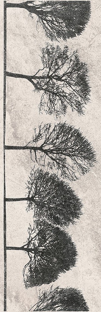 Dekor Willow Sky Tree Rekt. 89x29 | GRES