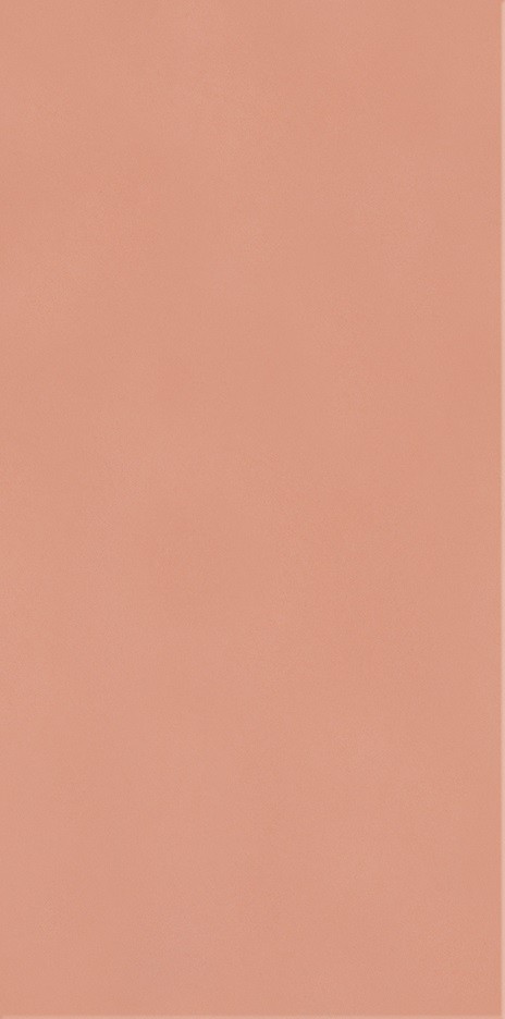 Obklad Neve Creative Blush Lesk 19,8x9,8 | GRES